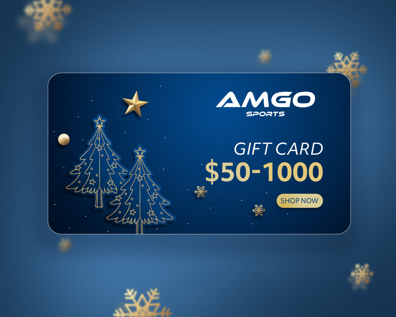 Amgo Sports Gift Card | The Perfect Gift for Cricket Enthusiasts